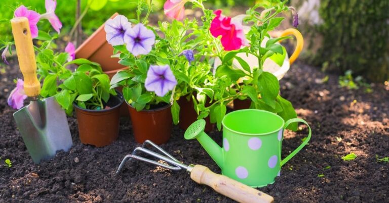 50 Gardening Basics - ESL Conversation Questions With Answer